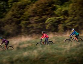 Whareroa Farm Recreation Reserve, Kāpiti Coast - WellingtonNZ