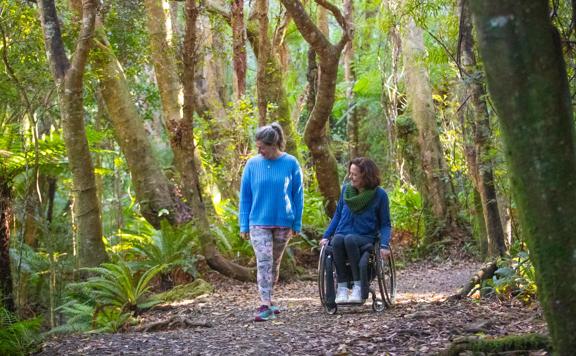 Tane’s Track - WellingtonNZ