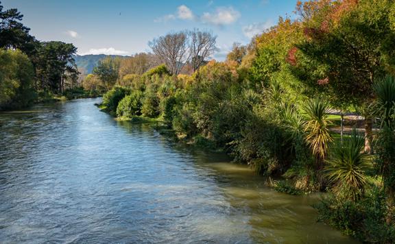 Waikanae River Trail, Kāpiti Coast - WellingtonNZ