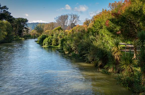 Day trips from Wellington city - WellingtonNZ