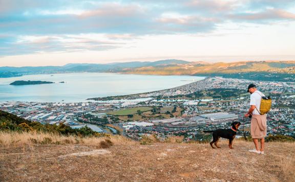 Te Whiti Riser - WellingtonNZ