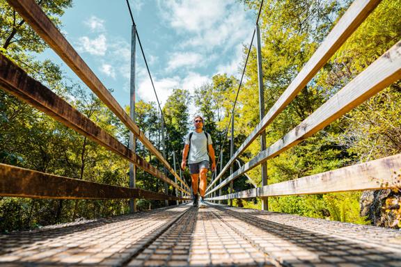 Top trails in the Hutt Valley - WellingtonNZ