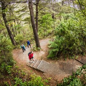 Discover the Hutt Valley: Wellington’s big backyard - WellingtonNZ