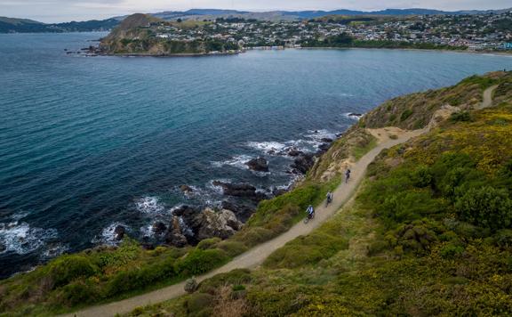 Te Onepoto Loop Track - WellingtonNZ