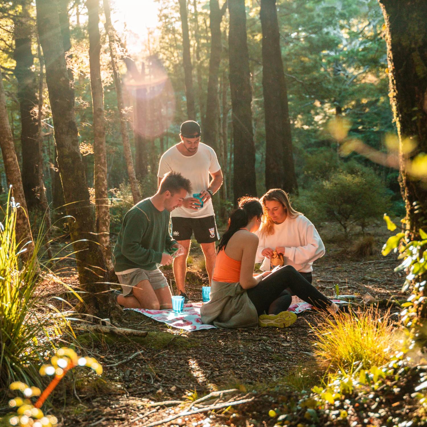 Top trails in the Hutt Valley - WellingtonNZ