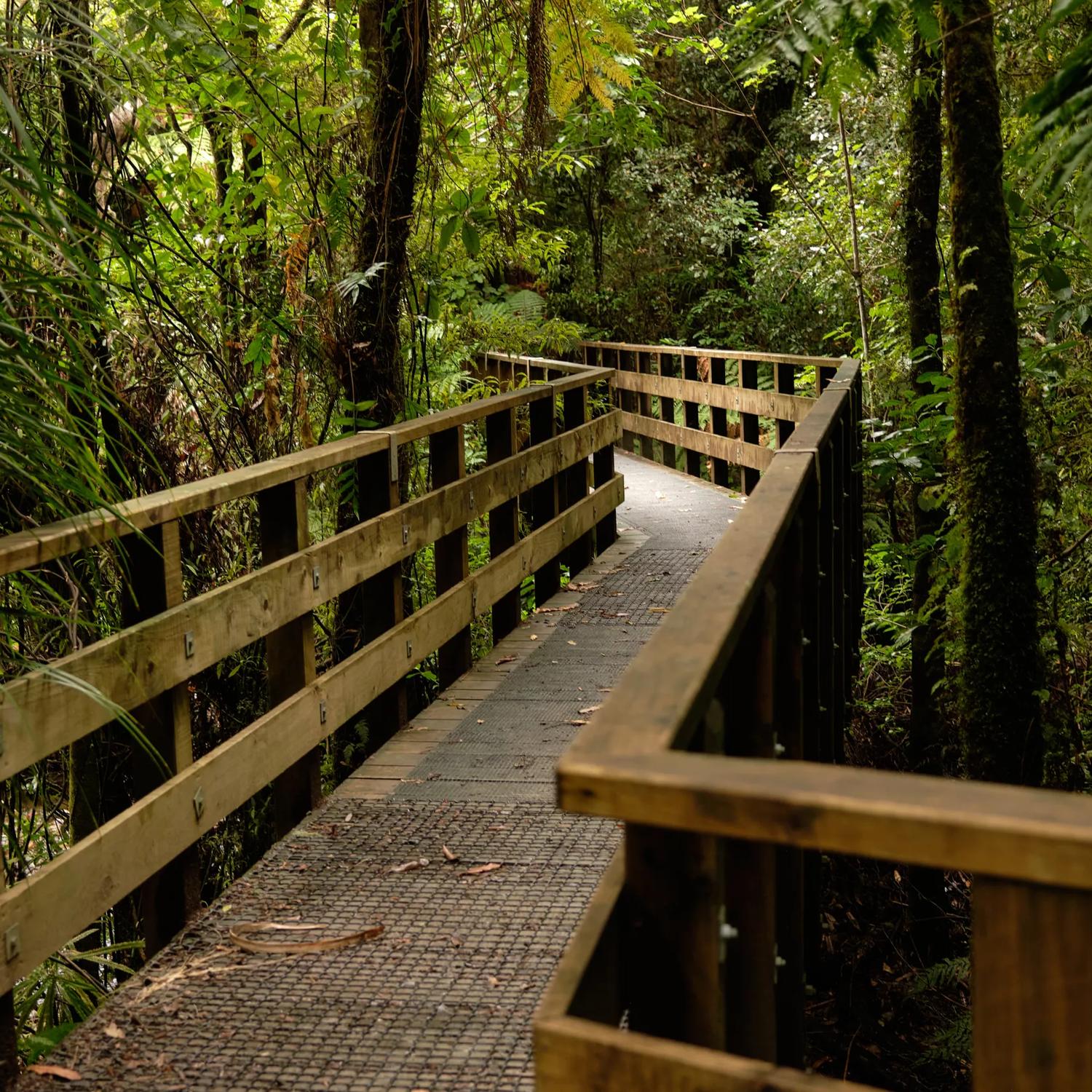 Top trails in the Hutt Valley - WellingtonNZ