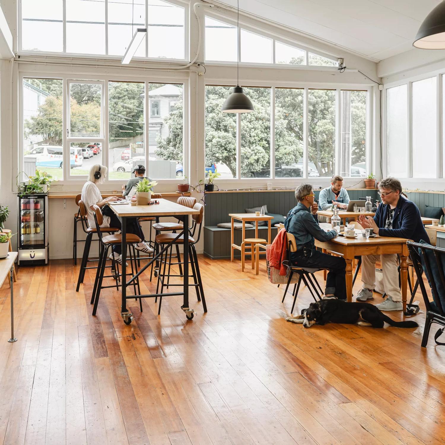 New cafés, restaurants and bars in Wellington - WellingtonNZ