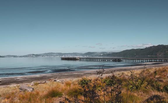 Explore Petone: a seaside town packed full of character - WellingtonNZ
