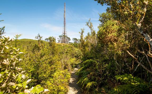 Mount Kaukau Summit/Khandallah Park Loop - WellingtonNZ
