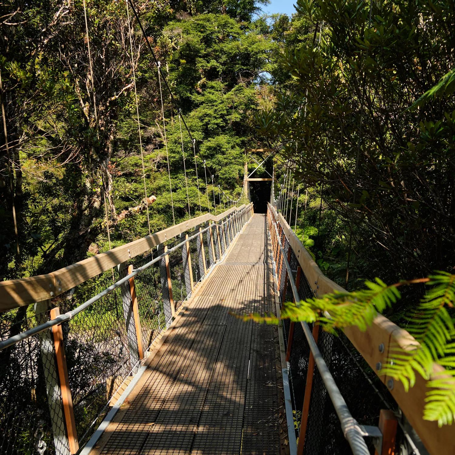 Top trails in the Hutt Valley - WellingtonNZ