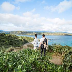 Southern Walkway - WellingtonNZ