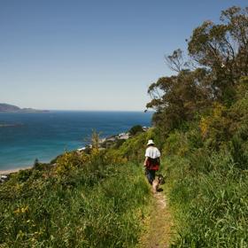 Mākara Walkway - WellingtonNZ