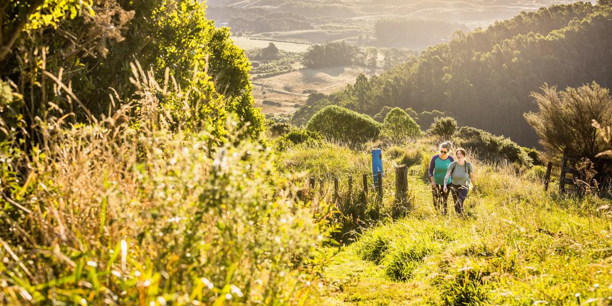 Five Ways Track in Whareroa Farm – WellingtonNZ