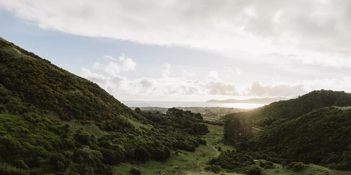 Catchment View Track in Whareroa Farm – WellingtonNZ