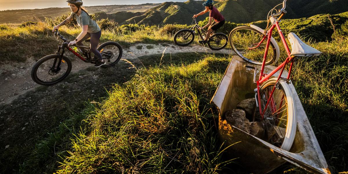 Whareroa Farm Recreation Reserve, Kāpiti Coast - WellingtonNZ