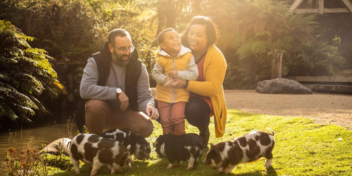 Staglands Wildlife Reserve in Wellington – WellingtonNZ