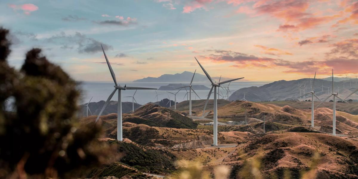 Wellington is a hub for climate conversations - Business Events Wellington