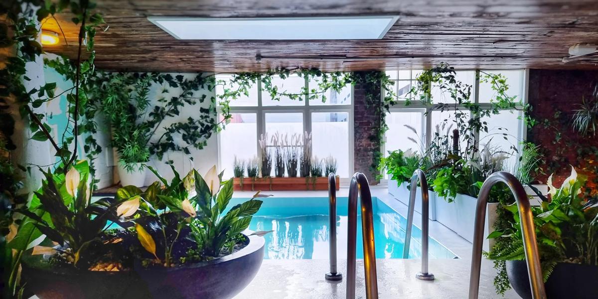 Wellington‘s top spa and wellness experiences – WellingtonNZ