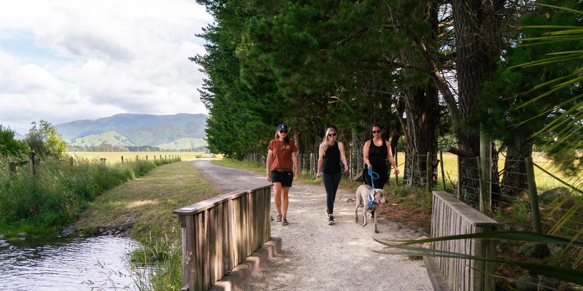 Greytown to Woodside Trail, Wairarapa region – WellingtonNZ