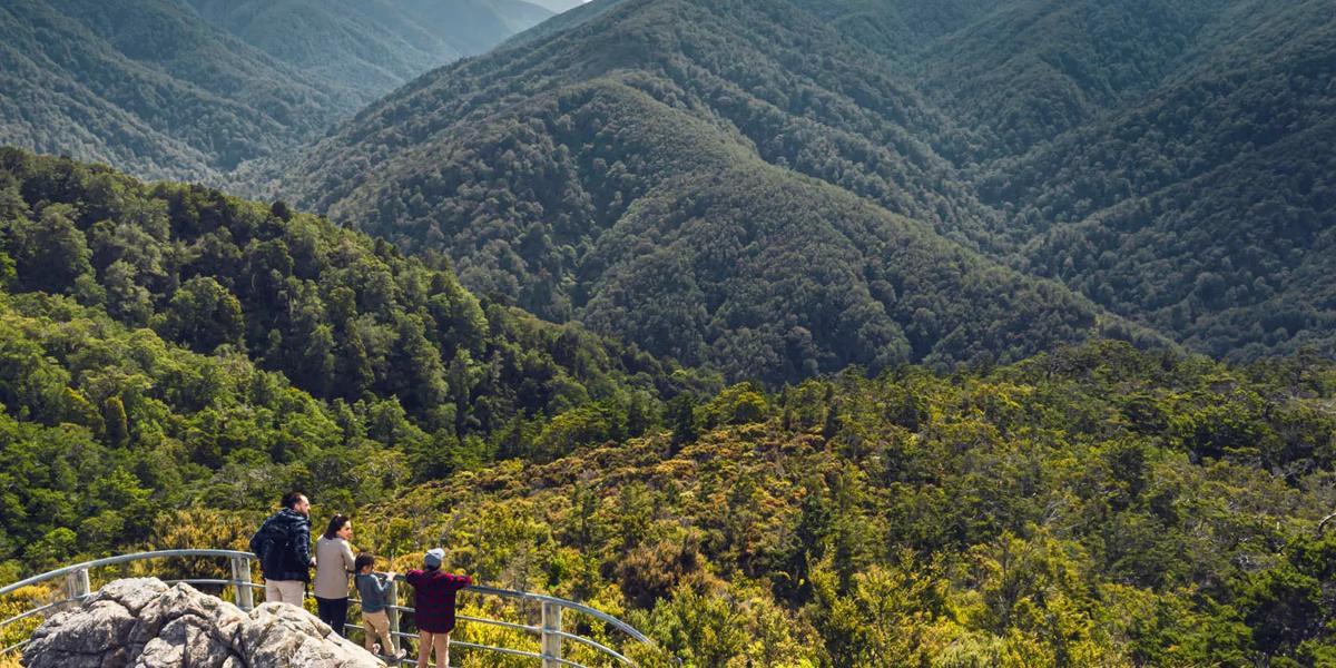 Rocky Lookout in Tararua Forest Park – WellingtonNZ