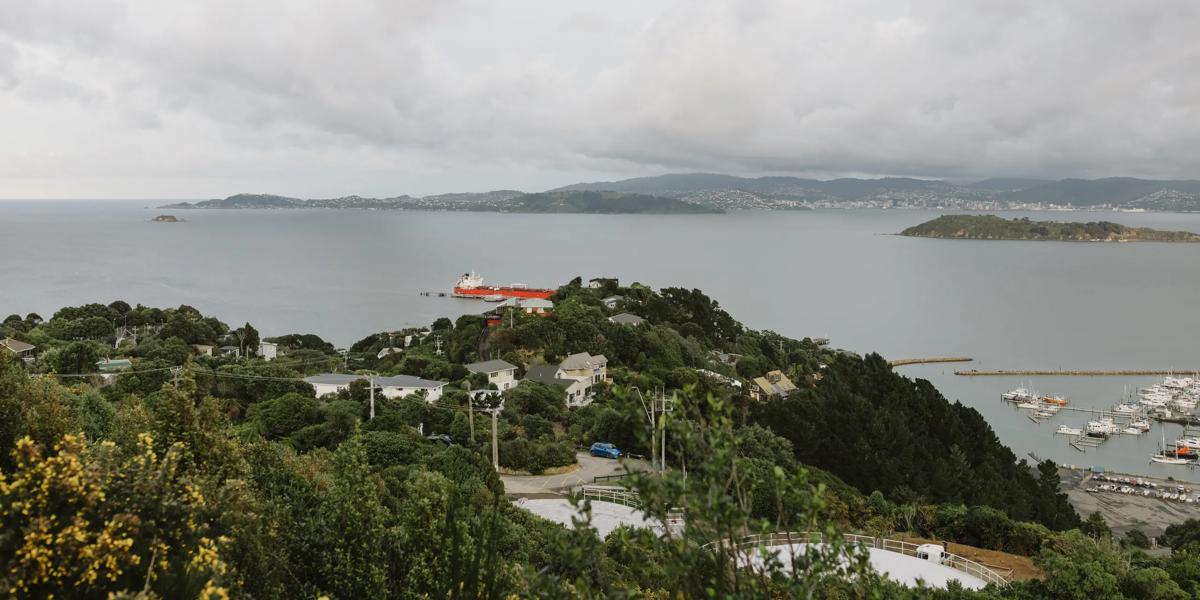 Howard Road Track in Eastbourne – WellingtonNZ