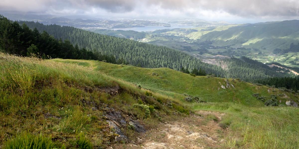 Battle Hill Farm Forest Park, Kāpiti Coast – WellingtonNZ