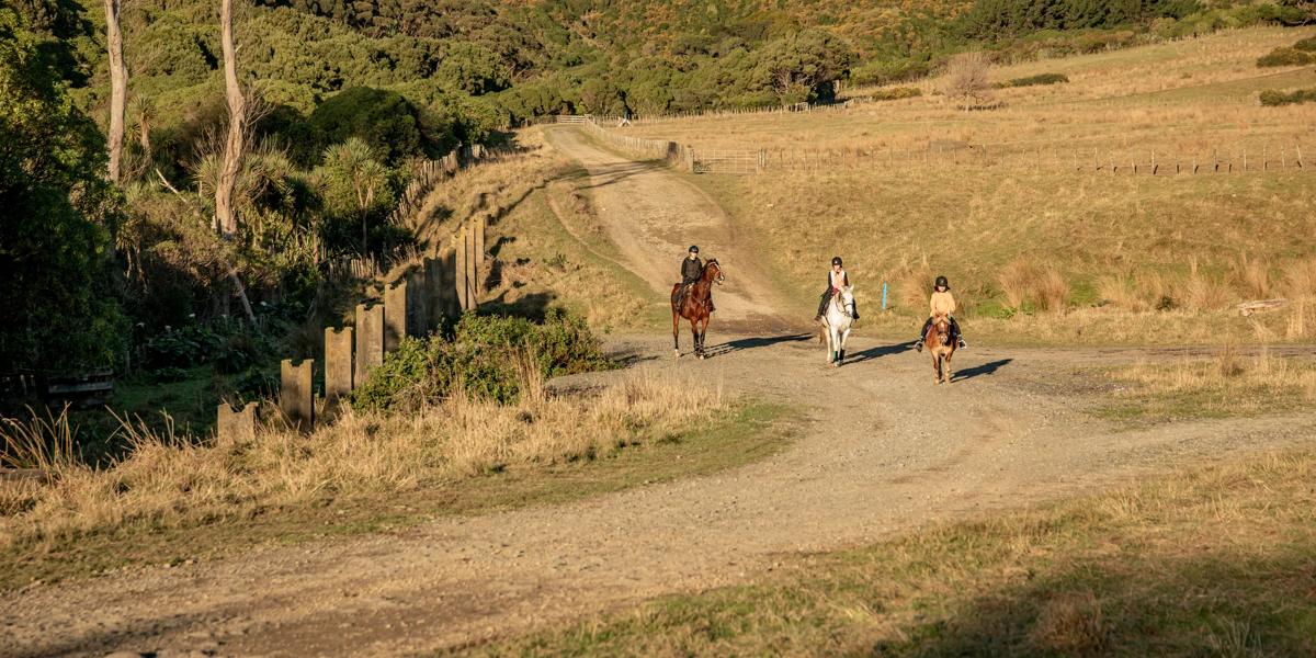 Whareroa Farm Recreation Reserve - WellingtonNZ