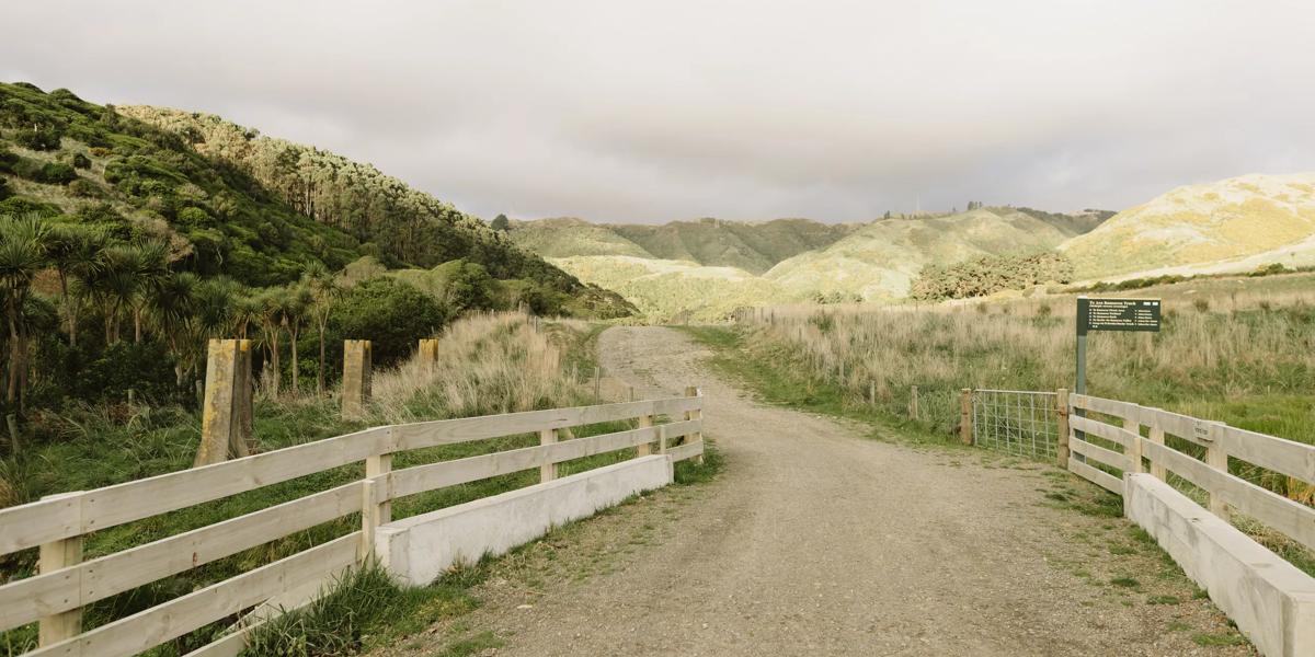 Farm Race Track in Whareroa Farm Recreation Reserve – WellingtonNZ