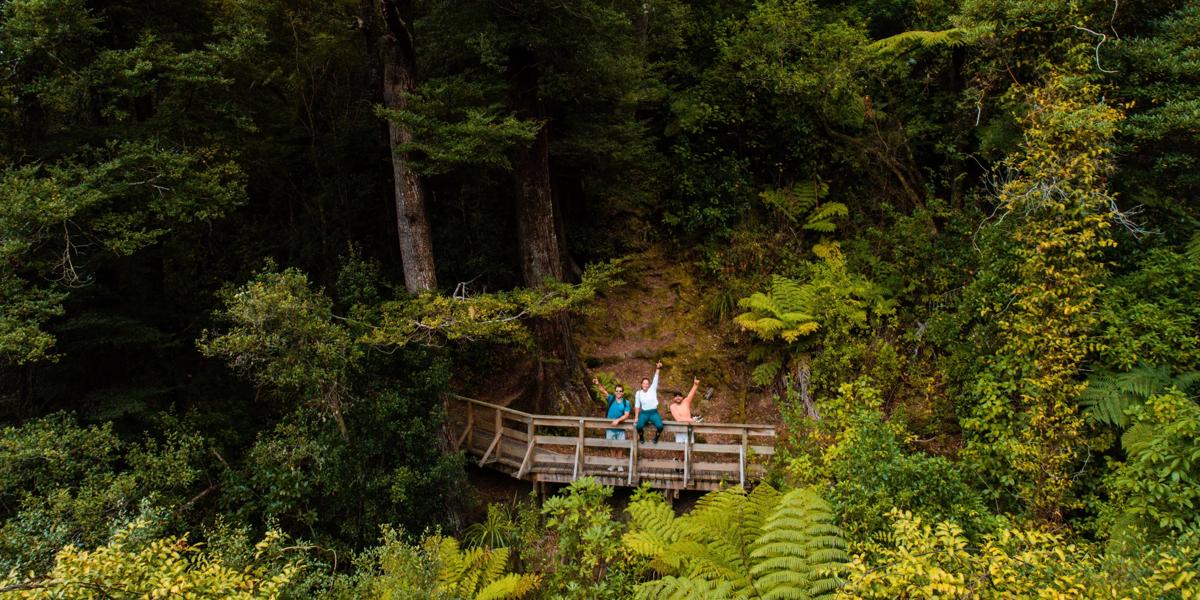 Tane’s Track in Tunnel Gully, Hutt Valley - WellingtonNZ